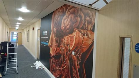 Custom Wallpaper Telford 1 For Custom Murals Cdp Printing
