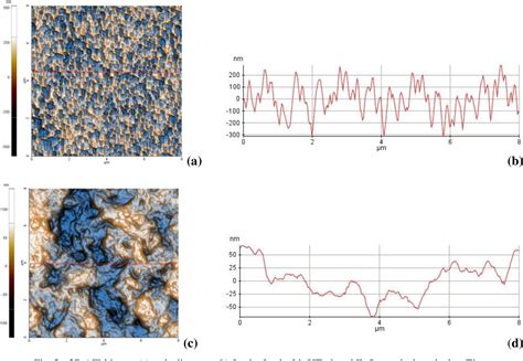Figure 5 From Morphological Properties Of Zno Nanostructures Doped With Ag And Li For