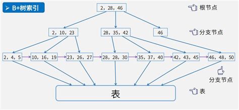 索引的建立与删除（引入一个数据字典的简介） 灰信网（软件开发博客聚合）