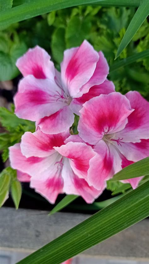 Доброе утро