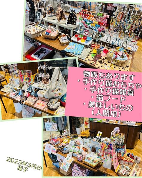 アニコム損保保護猫譲渡会527､28 北海道札幌市の保護猫団体 ツキネコ北海道