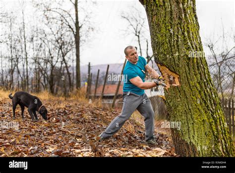 Man Cutting Trees With Axe