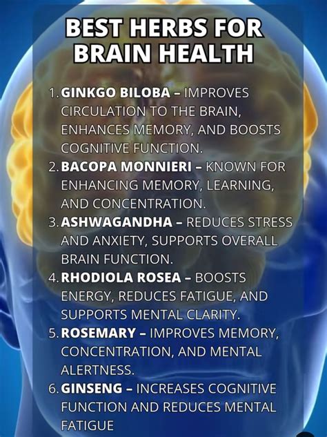 Best 12 Best Herbs For Memory Boost Focus And Brain Support Artofit