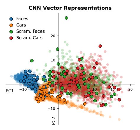 Principal Component Analysis Of Vector Representations Learned By The