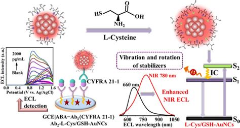Metal Nanoclusters In Point Of Care Sensing And Biosensing Applications Acs Applied Nano Materials