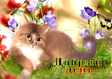 Супер открытка с кошкой Добрый день Скачать бесплатно на