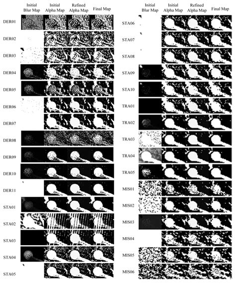Analysis Of Blur Measure Operators For Single Image Blur Segmentation