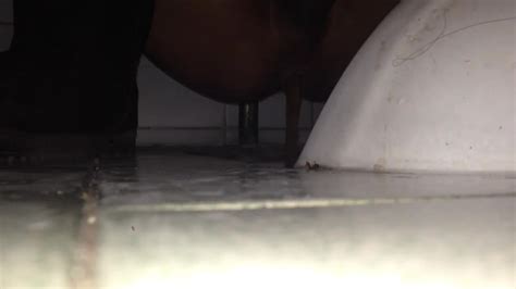 Japanese Squat Toilet 03 Japanese Squat Toilet 03