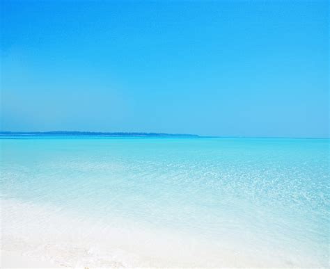 Counseling Positive Life Counseling Services Florida