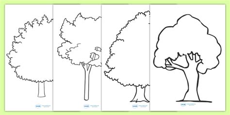 Tree Outline Worksheets Teacher Made