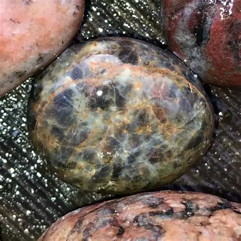 Agates Ultimate Guide To Collecting Agates What They Are And How To
