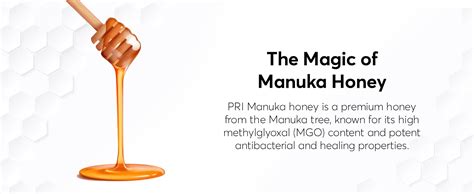 P R I Manuka Honey Sticks Certified Mgo 60 Raw New