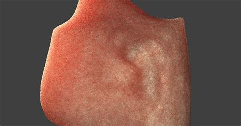 Skin Sss Shader Made In Blender Album On Imgur