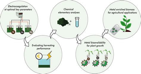 New Publication Electrocoagulation With An Agricultural Twist Performalgae
