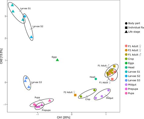 Life Cycle Microbial Community Evolution Correspondence Analysis Ca Download Scientific
