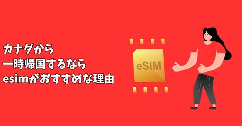 カナダから一時帰国するならesimがおすすめ カナダ在住日本人ブログ 英語ビジネスレベル最短への道 海外移住・海外就職ブログ