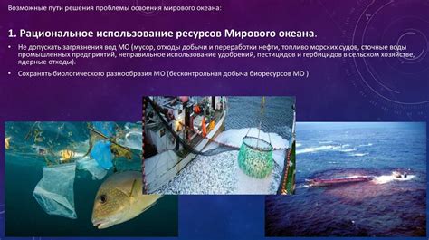 Освоения Мирового океана презентация онлайн