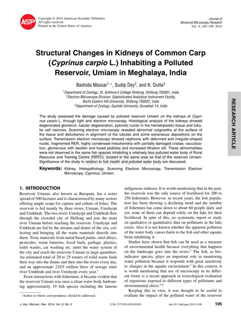 PDF Structural Changes In Kidneys Of Common Carp Cyprinus Carpio L