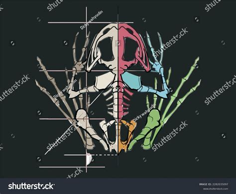 Frog Skeleton Art Isolated Vector Illustration Stock Vector Royalty