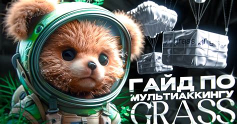 Гайд по мультиаккингу Grass — Teletype