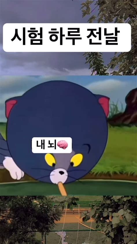 치타는 웃고있다 고등학생 밈 09 07 고3 수능파이팅 고1 고1 대입 06 고딩 Instagram