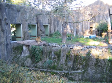 San Francisco Zoo San Francisco Ca Living New Deal