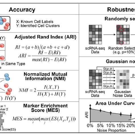 Evaluating Accuracy And Robustness Of Clustering Method Accuracy Left