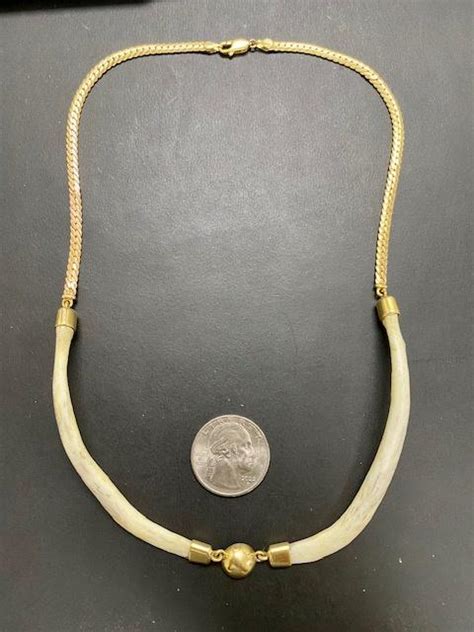 S Africa Bonetrophy Id Rhunting