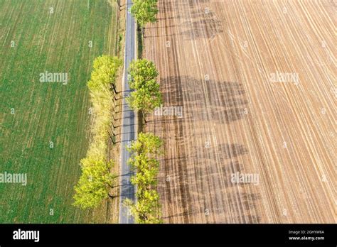 Country Road Between Cultivated Agricultural Fields On A Sunny Day
