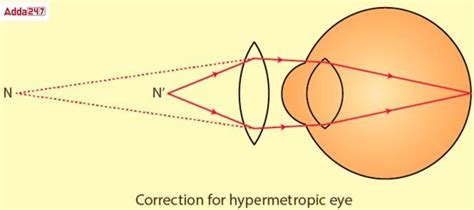 Ncert Solutions For Class 10 Science Chapter 11 The Human Eye And The