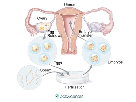 Is This From Implantation Graphic Photo Babycenter Implantation?