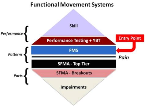 Functional Movement Screen And Return To Sport Flashcards Quizlet