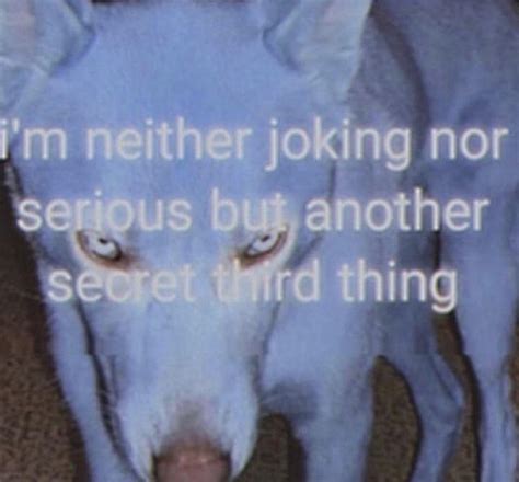 Literally Me R Schizoposters