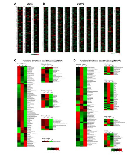 identification and functional enrichment based clustering analyses of