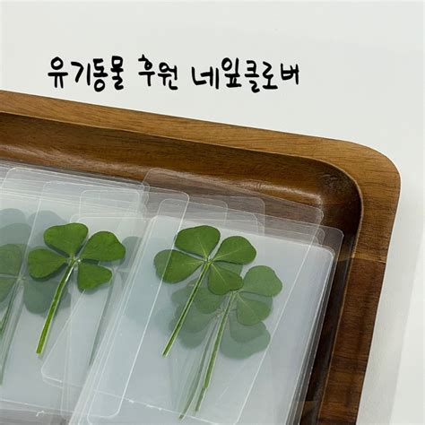 🍀행운 시험선물🍀 당일출고 뽀뚜빠뚜 유기견 유기묘 후원 기부 크로버 크로바 책갈피 수험생 수능 시험 응원 취업 부적 선물 친구