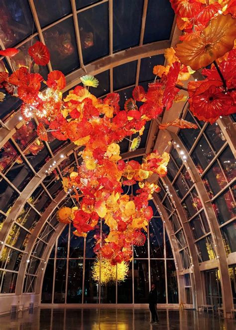 Chihuly Gardens Fasci Garden