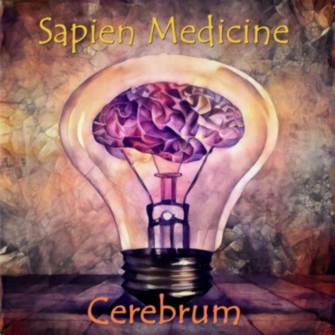 Lift Your Mood With Sapien Medicine And The Relaxing Compositions For Healing And Meditation