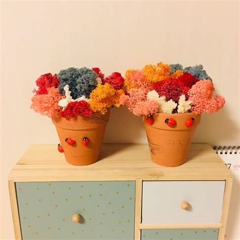 순록이끼 스칸디아모스 미니화분 만들기 신세계아카데미 일일특강 네이버 블로그