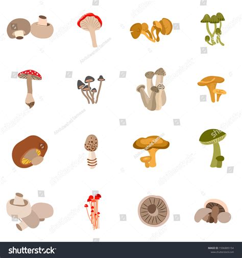 Poisonous Edible Mushroom Cartoon Icons Set Stock Vector Royalty Free