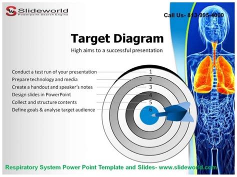 Respiratory System Powerpoint Template