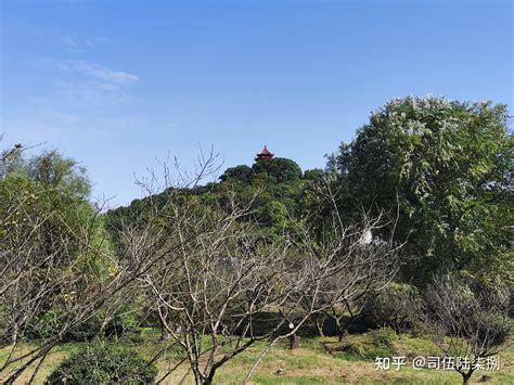 苏州西山岛游记 知乎