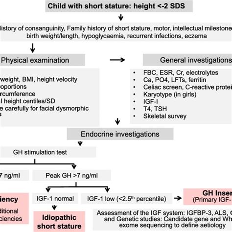 Growth Hormone Stimulation Tests Download Table