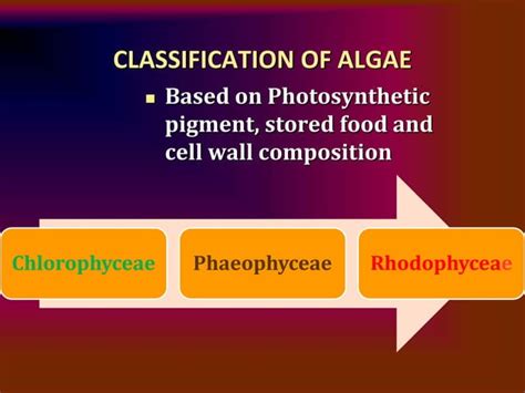 Algae General Characters And Classification Ppt