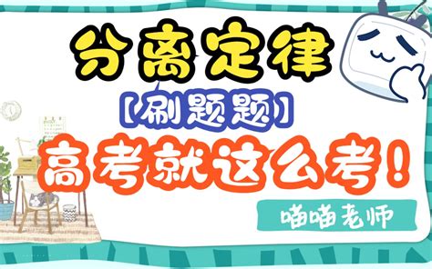 集全可分享 爆笑初中生物动画 绿色植物的光合作用 孩子一看就明白 bilibili B站 无水印视频解析YIUIOS易柚斯