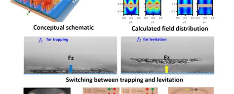 Scientists Use Phononic Crystals To Make Dynamic Acoustic Tweezers Synced
