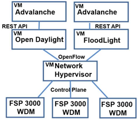 Electronics Special Issue Software Defined Optical Networks