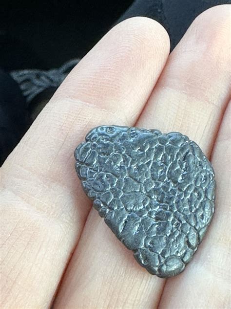 Fossilized Reptile Skin R Rocks