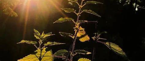 大便在肛门拉不出，掐这里就可治穴位时候读者