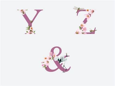 Cherry Font Vector Art Icons And Graphics For Free Download