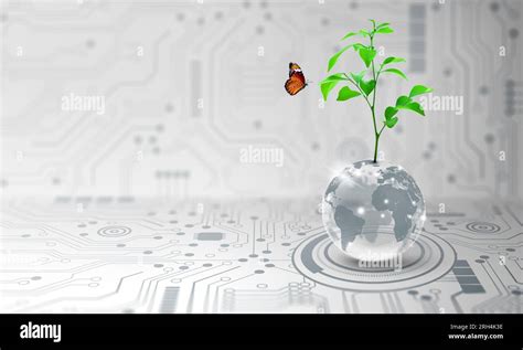 Tree Growing On Crystal Globe Digital Convergence And And Technology